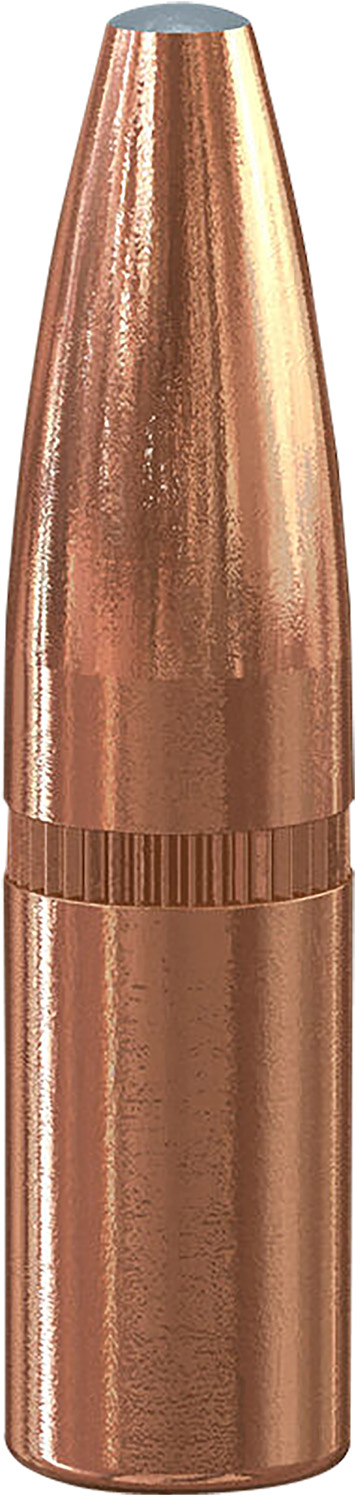 Speer Grand Slam .243 Caliber 100Gr Rifle Bullet - Precision Drawn ...